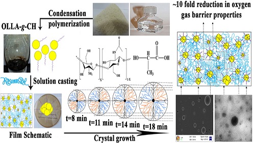 Graphical_Abstract_CoE SusPol