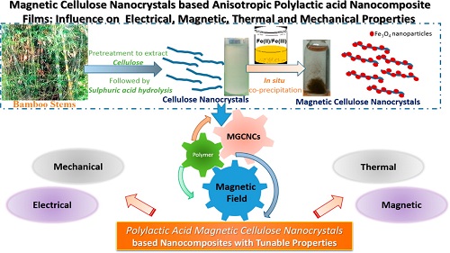 Graphical_Abstract_CoE SusPol