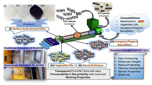 Graphical_Abstract_CoE SusPol